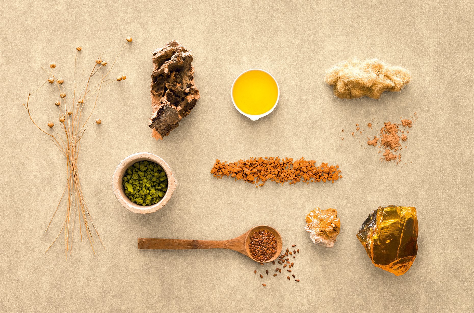 Bouwen met biobased materialen: wat houdt dat in?